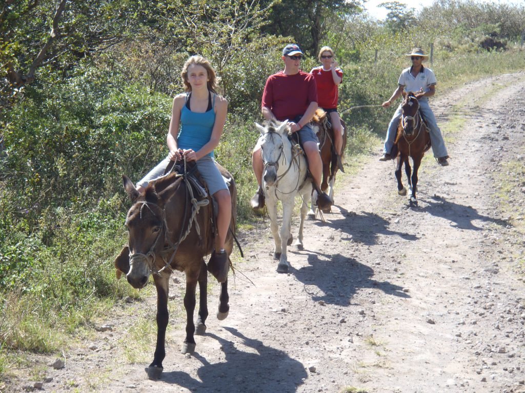 Alex on the Beach | Tour operator in Costa Rica